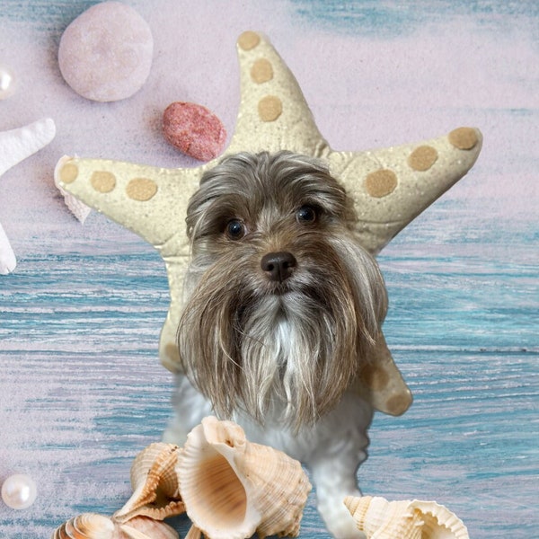 Starfish Headpiece - Etsy