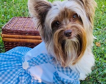 Dorothy Dog Costume - Etsy