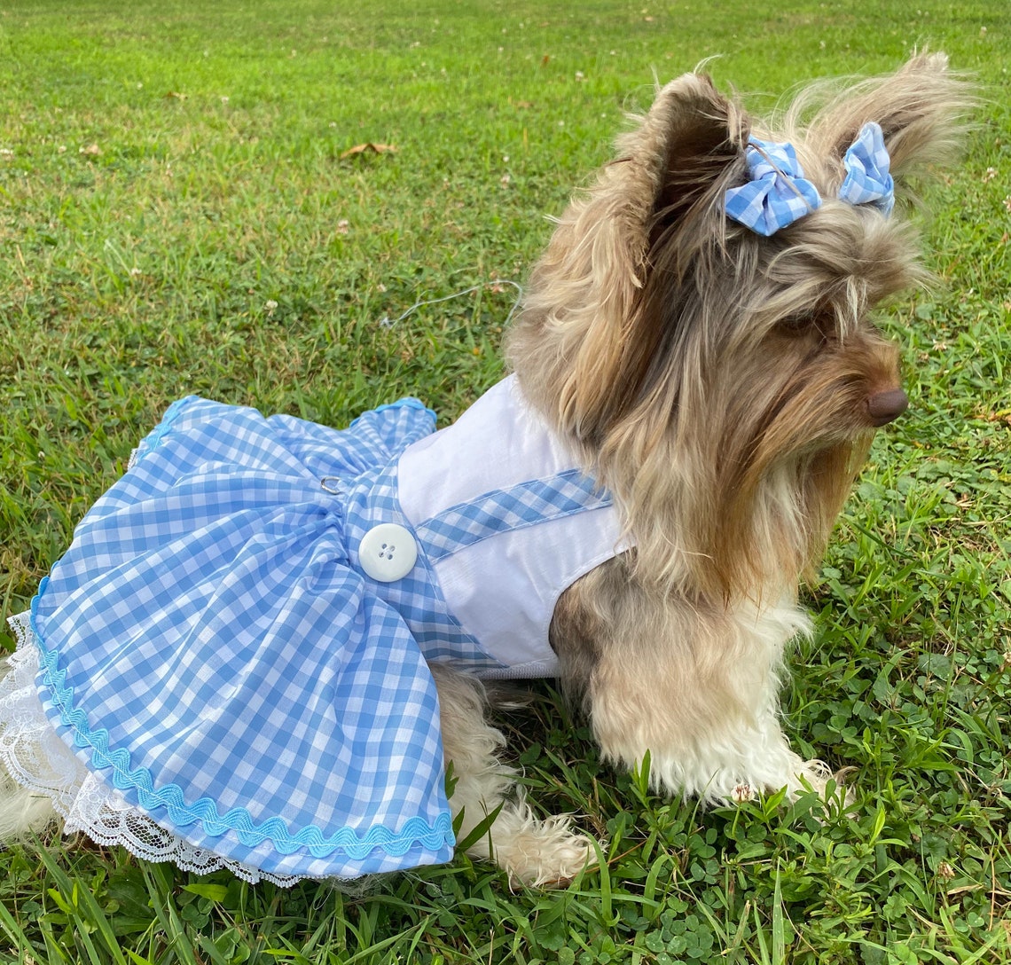 Blue/white Checkered Dress Perfect for Halloween Pet/dog Costume - Etsy