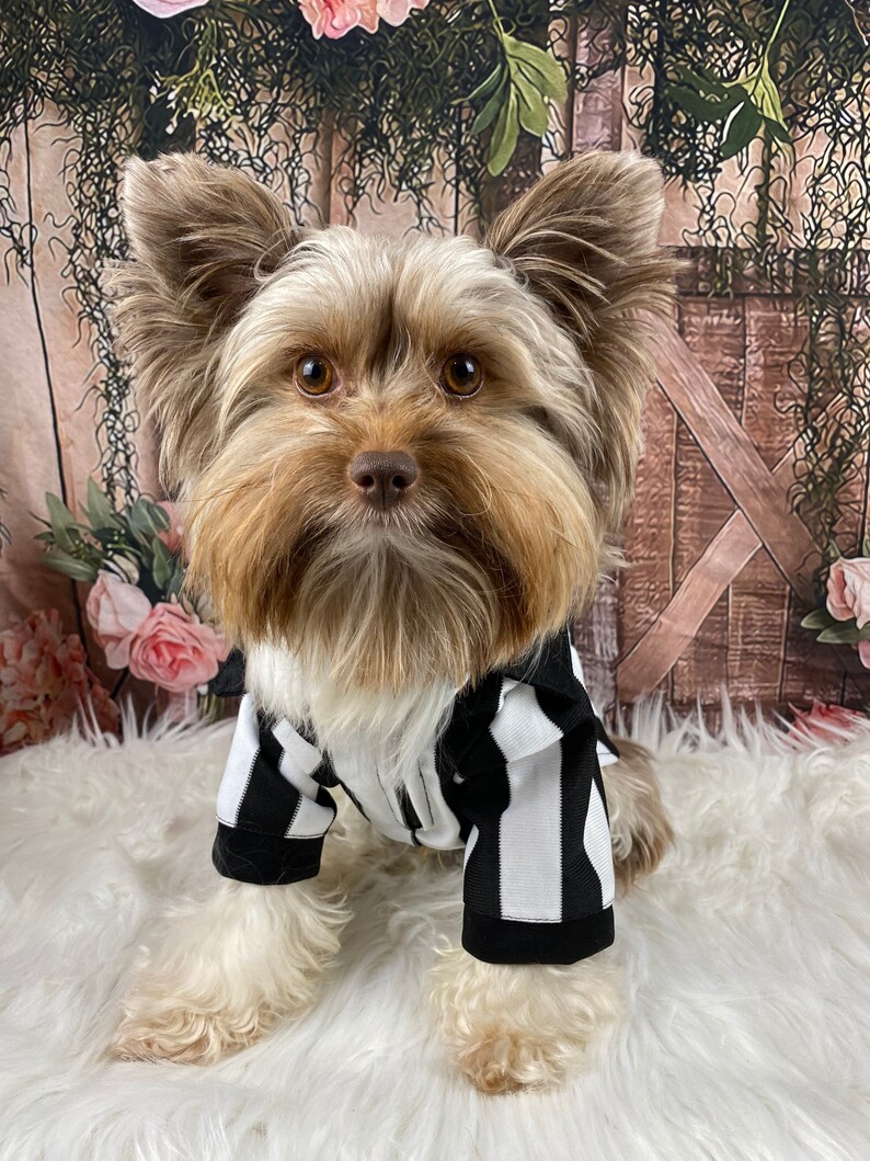 Referee Dog Shirt/costume for Small Dogs Great for Sporting - Etsy