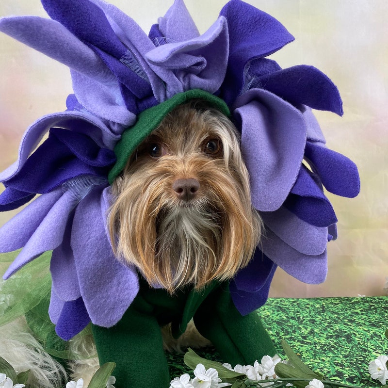 Flower Costume - Etsy