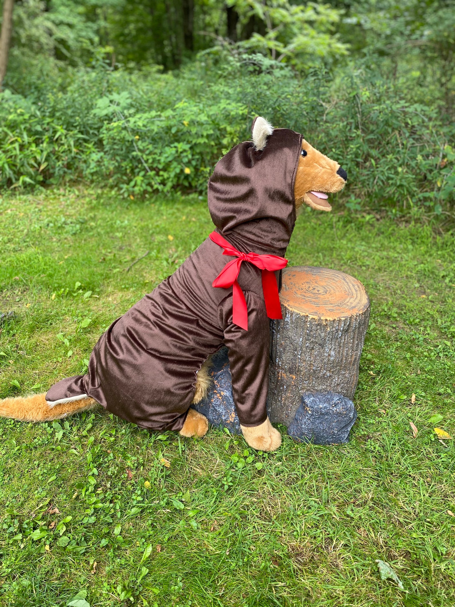 Goldilocks and the Three Bears Style /teddy Bear Dog Costume for Large ...