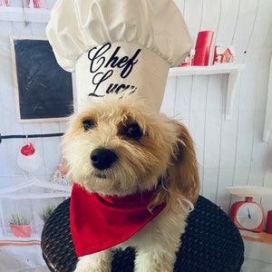 Chef Dog Costume Hat and Red Scarf - Etsy