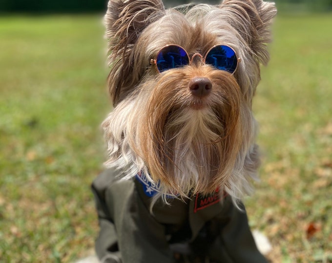 Flight Suit/pilot Outfit/ Dog Costume for Small Breed Dogs - Etsy
