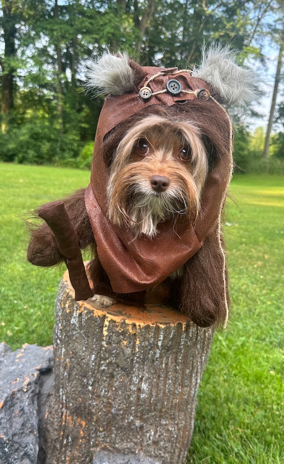 Furry Brown Woodland Dog Halloween Costume With Hood Etsy UK
