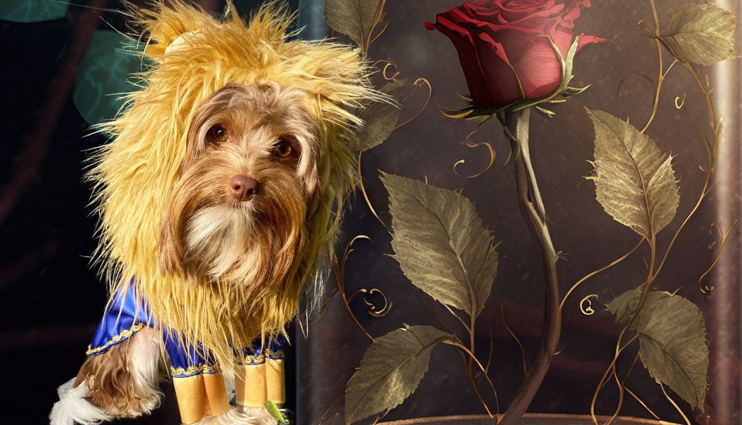 Beast Style Dog Halloween Costume - Etsy