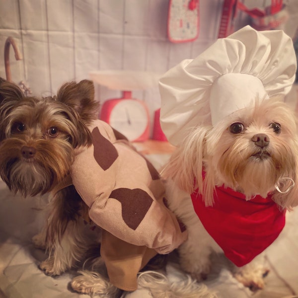 Small Dog Costume - Etsy