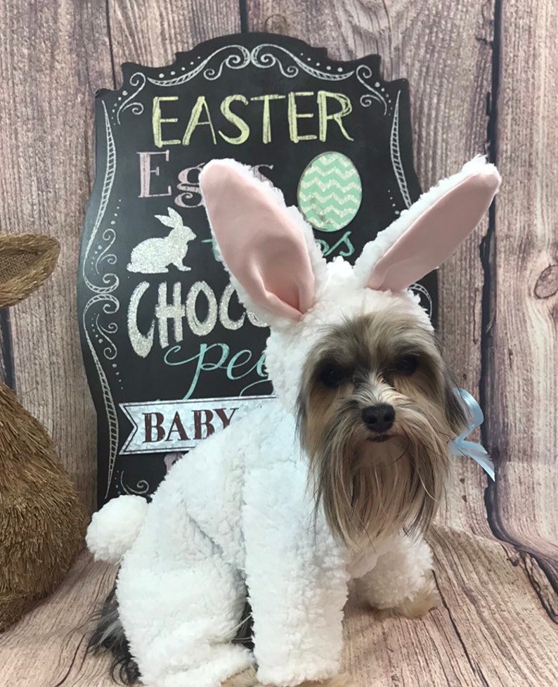 Custom Bunny Costume for Small Breed Dogs - Etsy