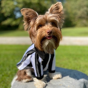 Referee Dog Shirt/costume for Small Dogs Great for Sporting Events ...