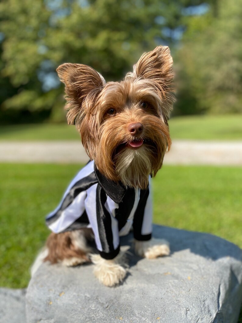 Referee Dog Shirt/costume for Small Dogs Great for Sporting - Etsy