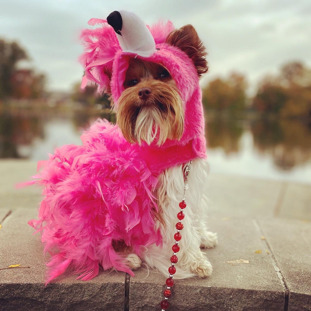 Hot Pink or Light Pink Flamingo Dog/pet Halloween Costume - Etsy