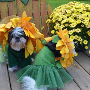 Unique Sunflower Dog Halloween Costume for Small-medium Breed Dogs - Etsy