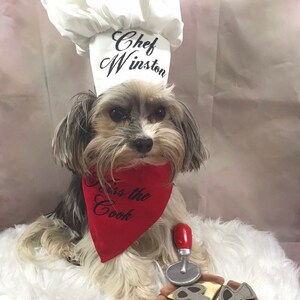 Chef Dog Costume Hat and Red Scarf - Etsy