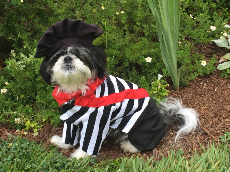 Custom made French Mime dog costume for dogs uo to 20 pounds | Etsy