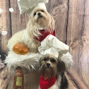 Chef Dog Costume Hat and Red Scarf - Etsy