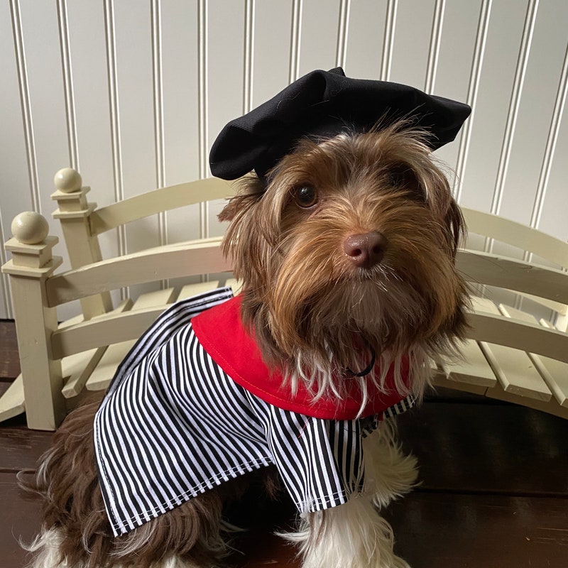 Small Dog Costume - Etsy