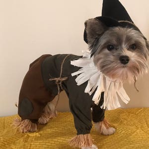 Custom Made Scarecrow Costume for Small Dogs - Etsy