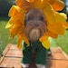Unique Sunflower Dog Halloween Costume for Small-medium Breed Dogs - Etsy