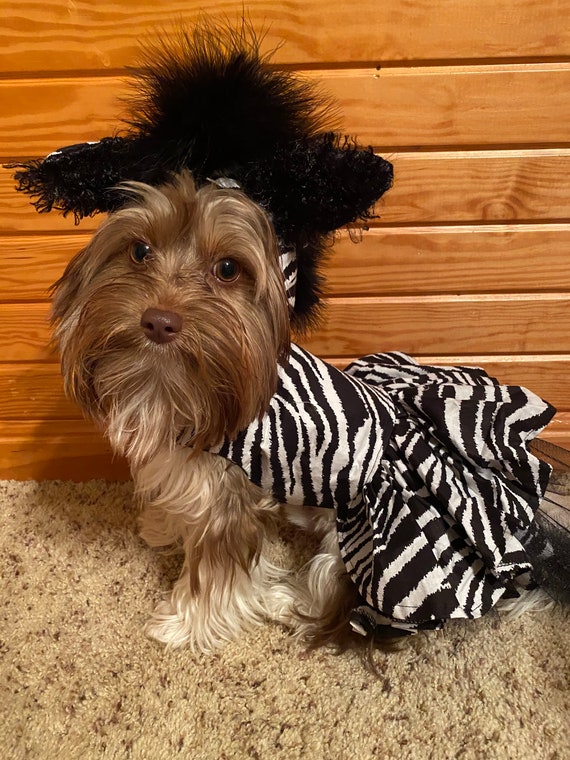 Zebra Dog