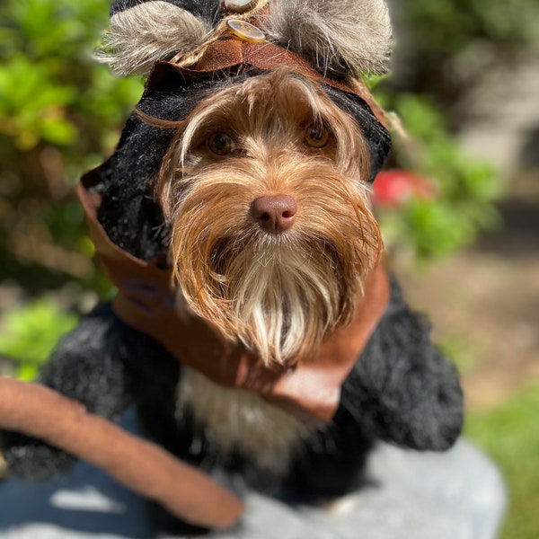 Small Dog Costume - Etsy