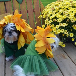 Unique Sunflower Dog Halloween Costume for Small-medium Breed Dogs - Etsy