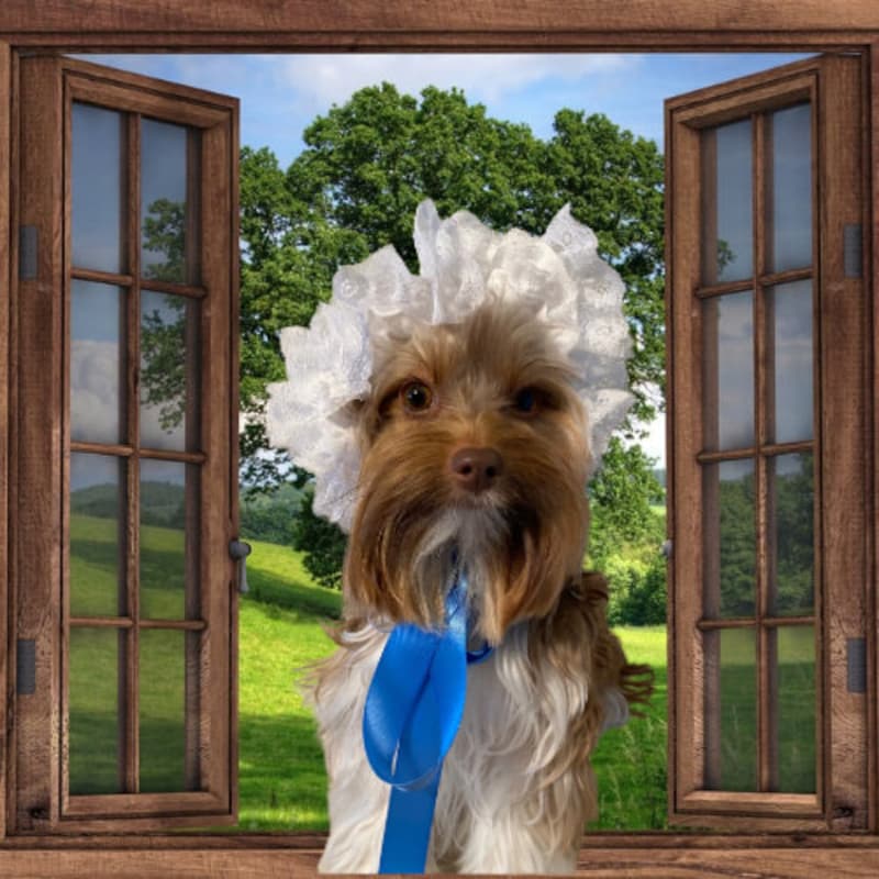 Bad and Style - Etsy