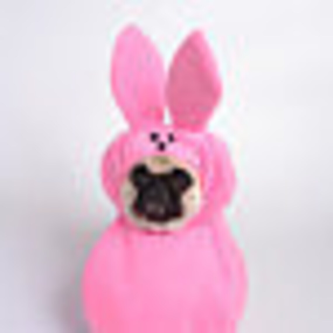 Custom Made Easter Candy Dog Costume for Your Small Pet/dog up - Etsy