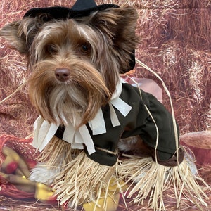 Custom Made Scarecrow Costume for Small Dogs - Etsy