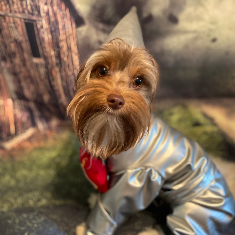 Dog Man Costume - Etsy