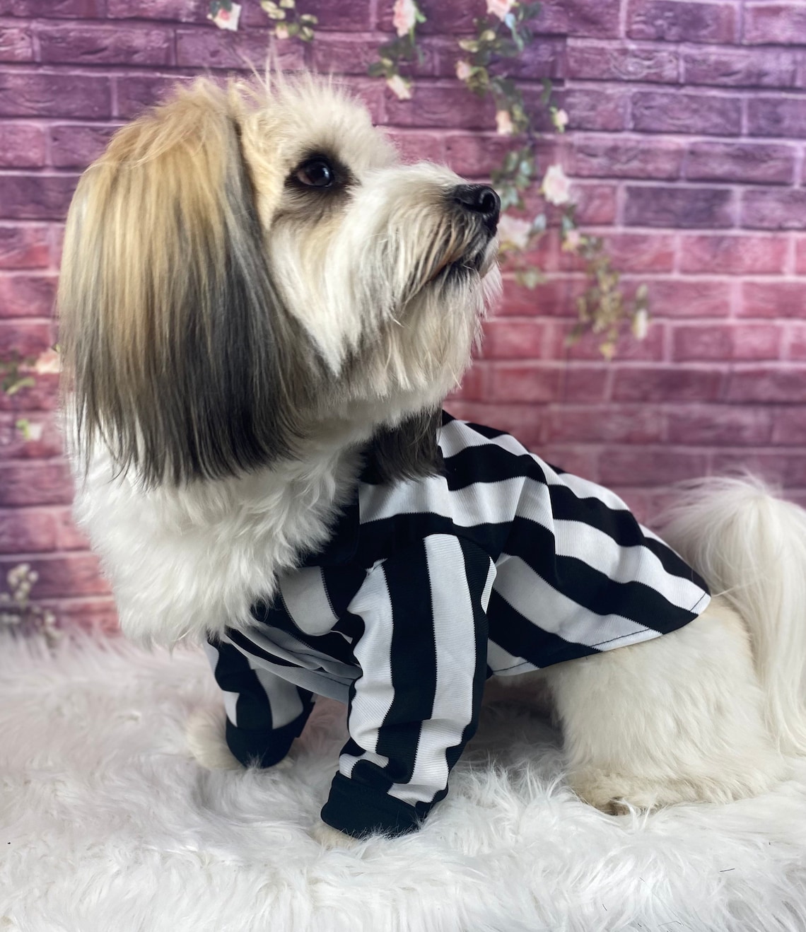 Referee Dog Shirt/costume for Small Dogs Great for Sporting - Etsy