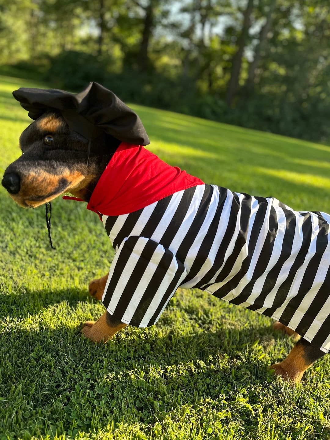 The Frenchman Cute Halloween Large Breed Dog Costume for Golden ...