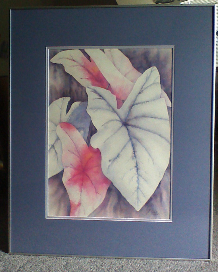 Original Watercolor Painting of Caladium Leaves 15.5 by 22 Inches by ...