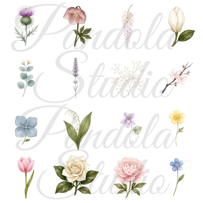 Watercolor Flower Clipart Bundle, Botanical Wildflower PNG (digital ...