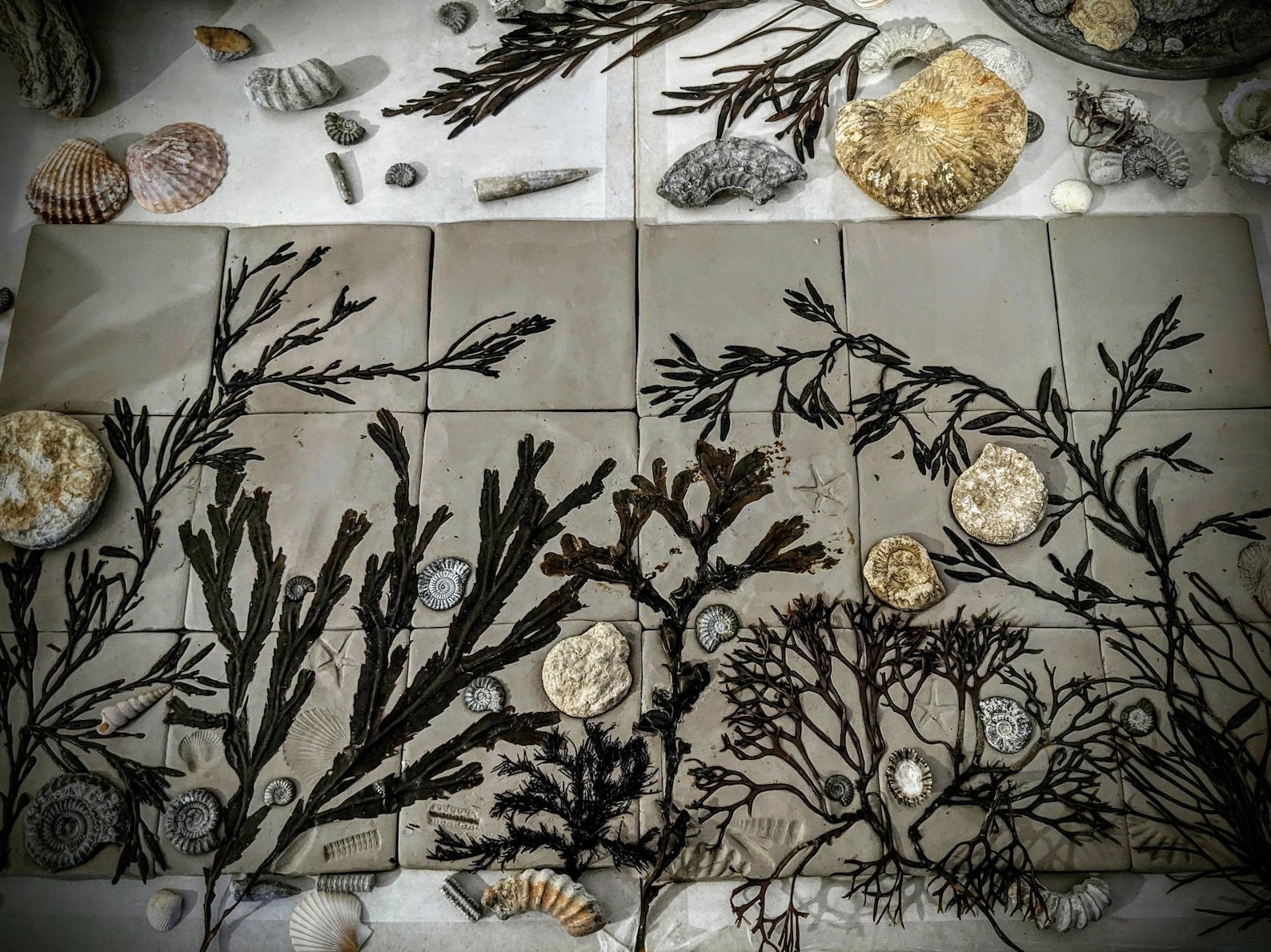 Handmade Fossil Tiles, Jurassic Splashback, Made to Order - Etsy