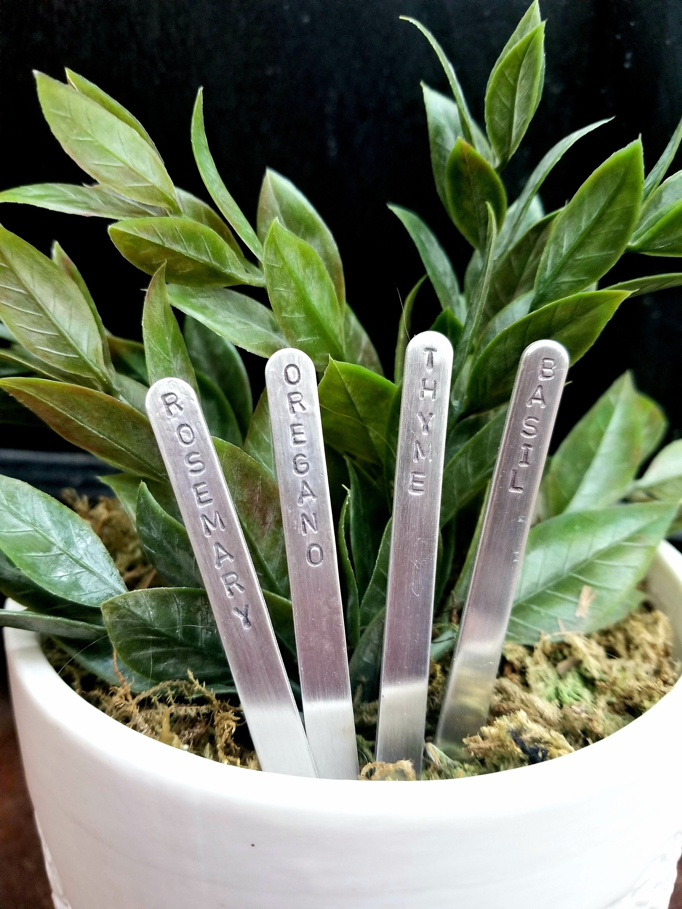 Mini Aluminum Herb Plant Markers 1/4