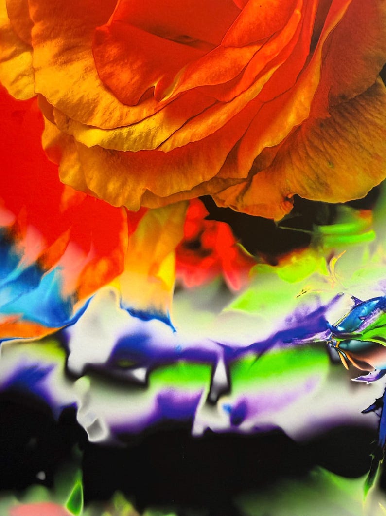 Rainbow Rose Wall Art Print | Vibrant Floral Artwork | Colorful Modern ...