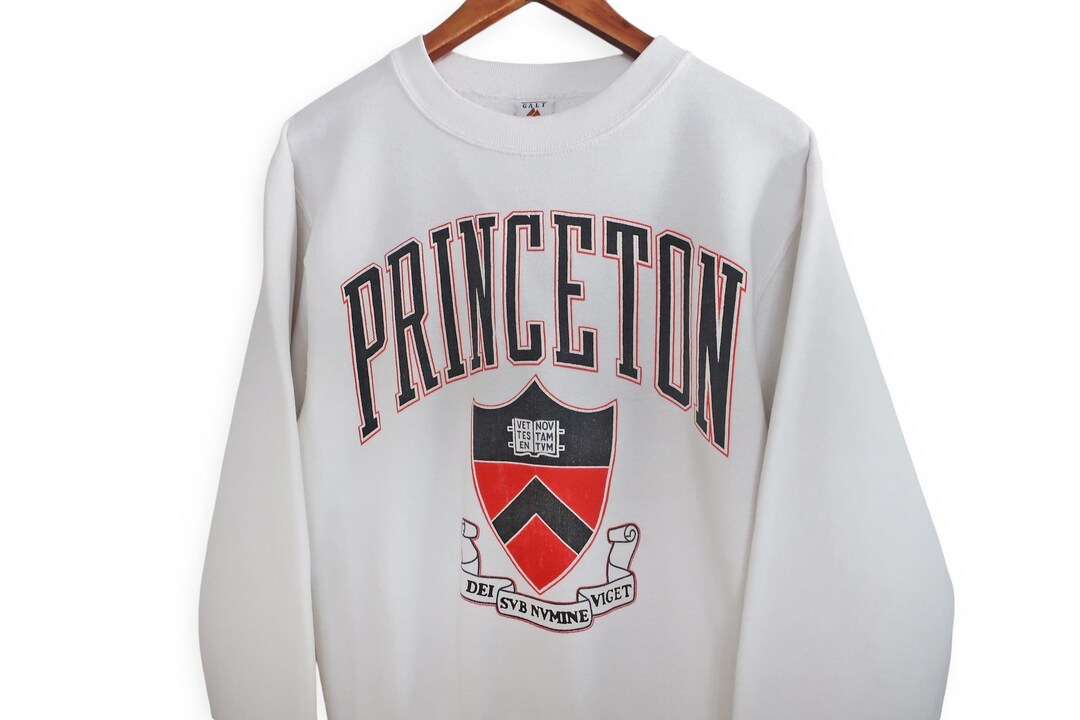 Vintage Sweatshirt / Princeton Sweatshirt / 1990s Princeton Ivy League ...