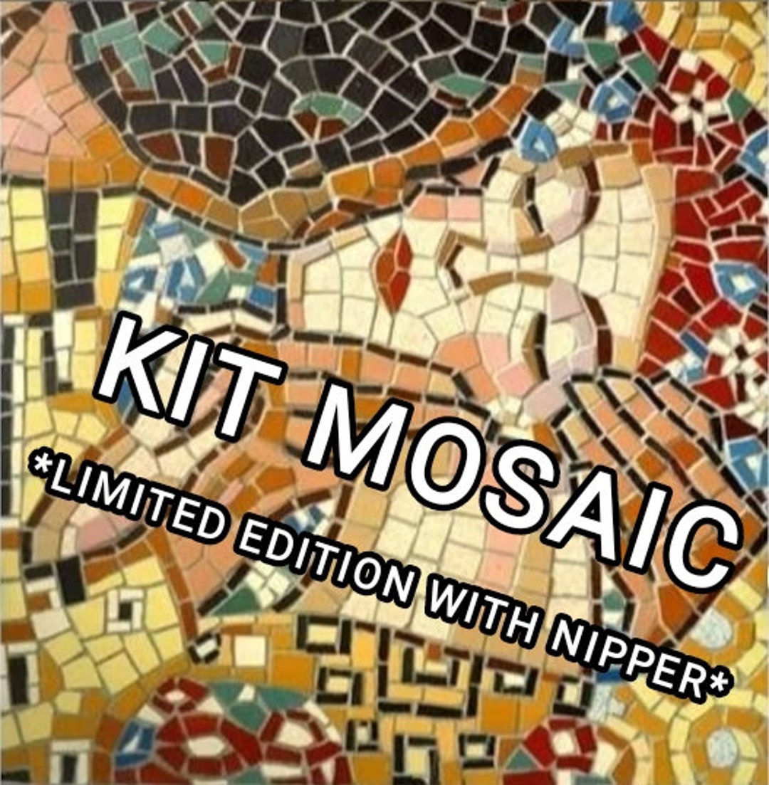 SERIE LIMITATA Con TENAGLIA Kit Mosaico Fai Da Te 'il Bacio' 19 ...