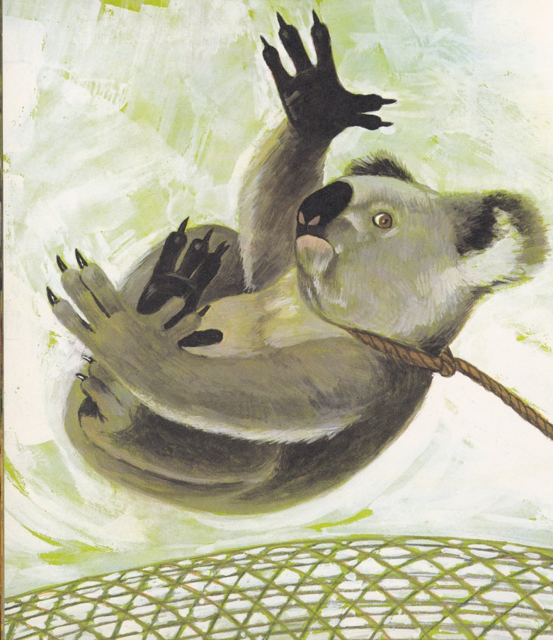 Kolo the Bush Koala Australian Golden Book Vintage Childrens Book ...