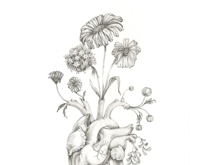 8x10" PRINT of Original Drawing "blooming Heart"- Graphite, Art ...