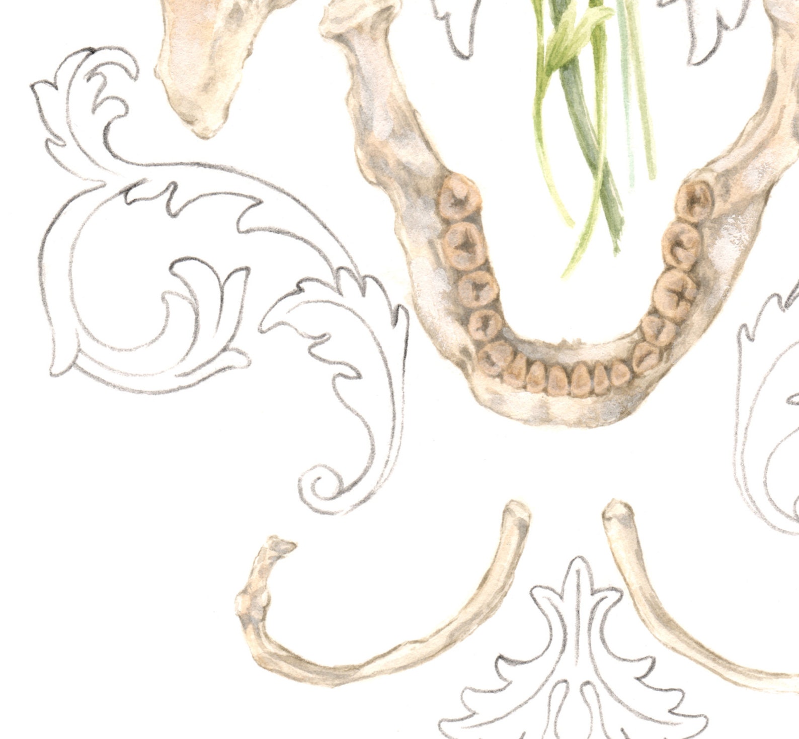 Mandible Bouquet Painting Art Anatomy Floral - Etsy