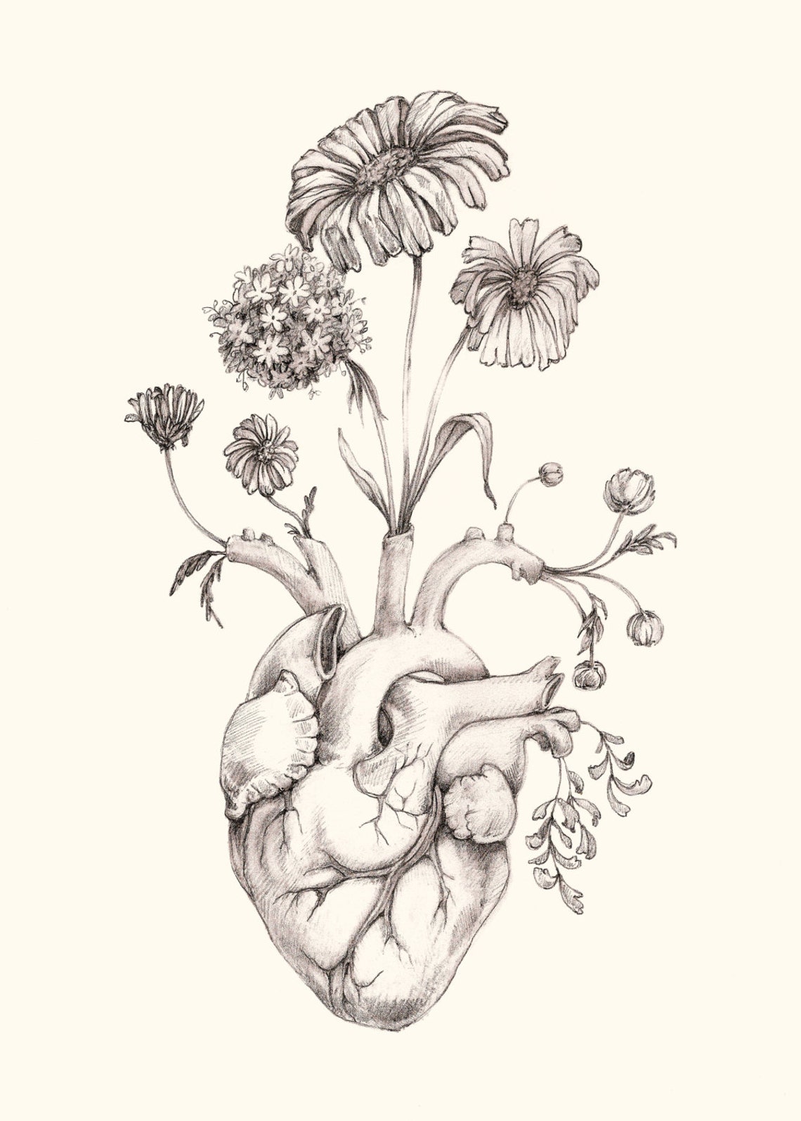 8x10 PRINT of Original Drawing blooming - Etsy