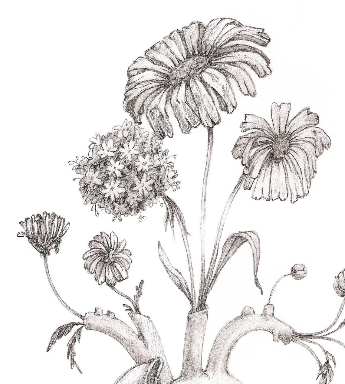 8x10 PRINT of Original Drawing blooming - Etsy