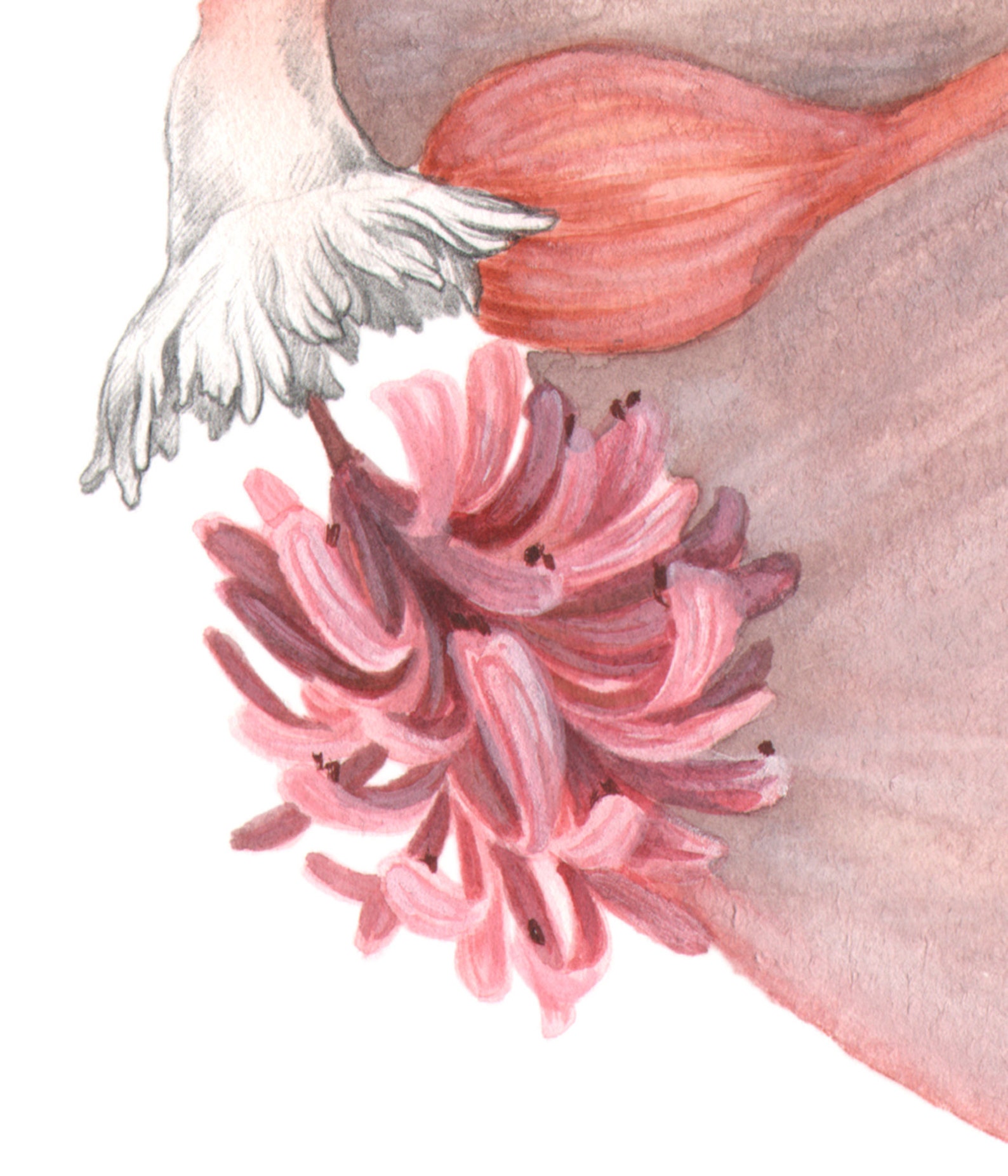 Her Majesty Painting Art Anatomy Uterus Flowers Medical - Etsy