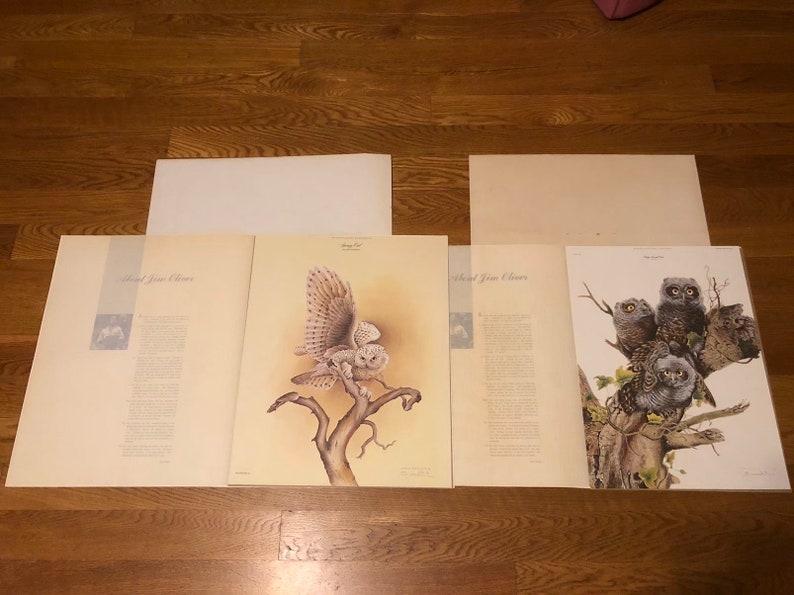 2 Vintage Jim Oliver Prints Snowy Owl Baby Screech Owls Lot Original ...