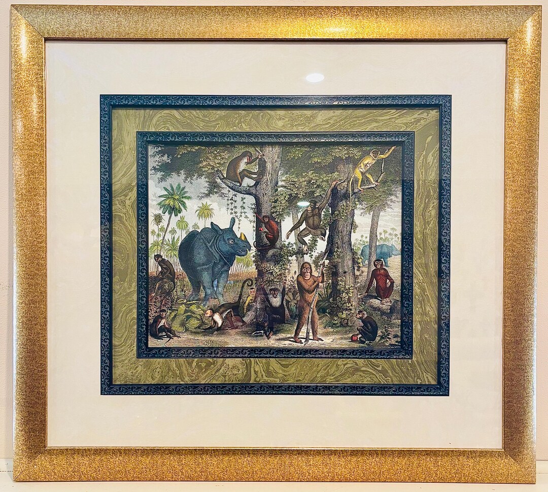 Paragon Picture Gallery Serial Number Lookup