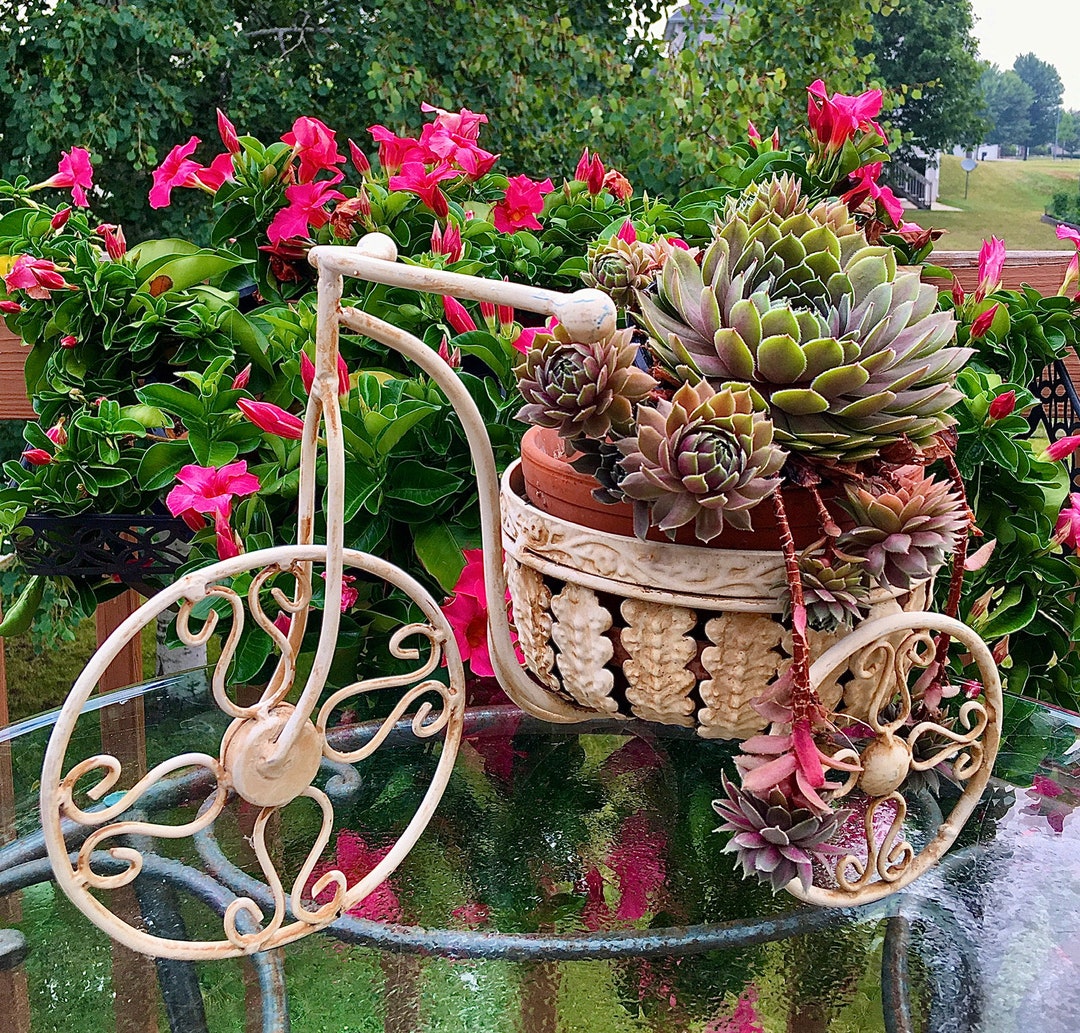 Rustic Cast Iron Bicycle Planter With Pot - Etsy