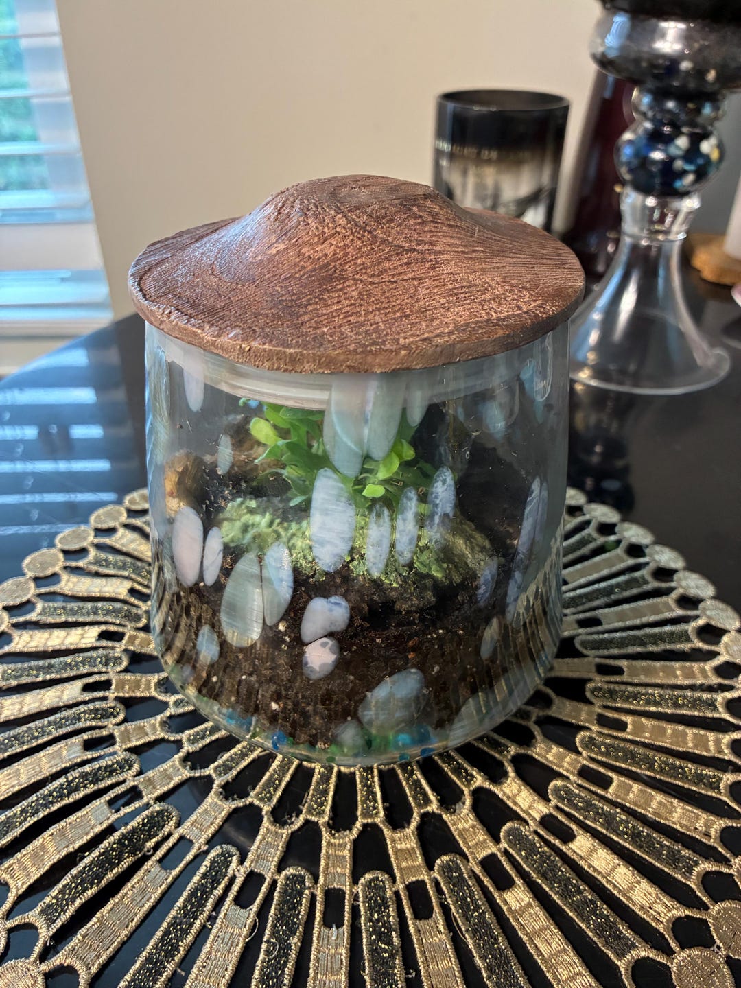 Glass Terrarium With Fern, Wood, Lichen, Squirrel Figurine, Garden ...
