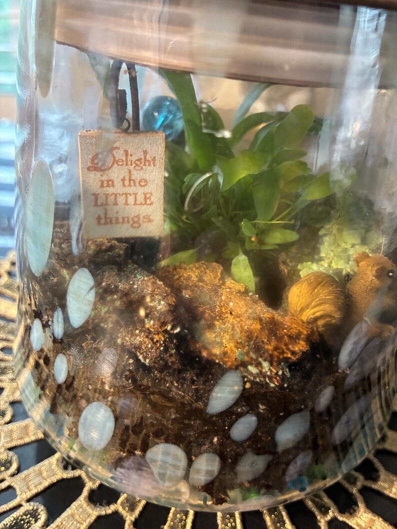 Glass Terrarium With Fern, Wood, Lichen, Squirrel Figurine, Garden ...