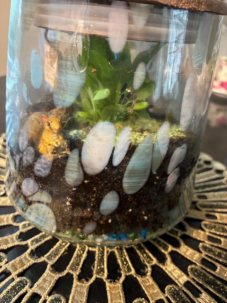 Glass Terrarium With Fern, Wood, Lichen, Squirrel Figurine, Garden ...